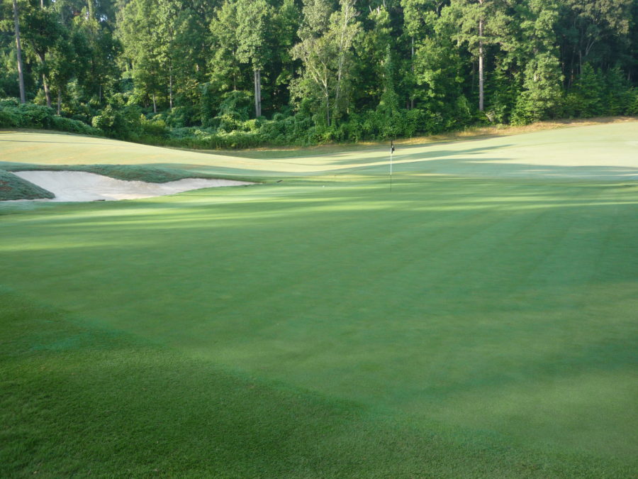 Echelon Golf Club – Tiger Golf Traveler