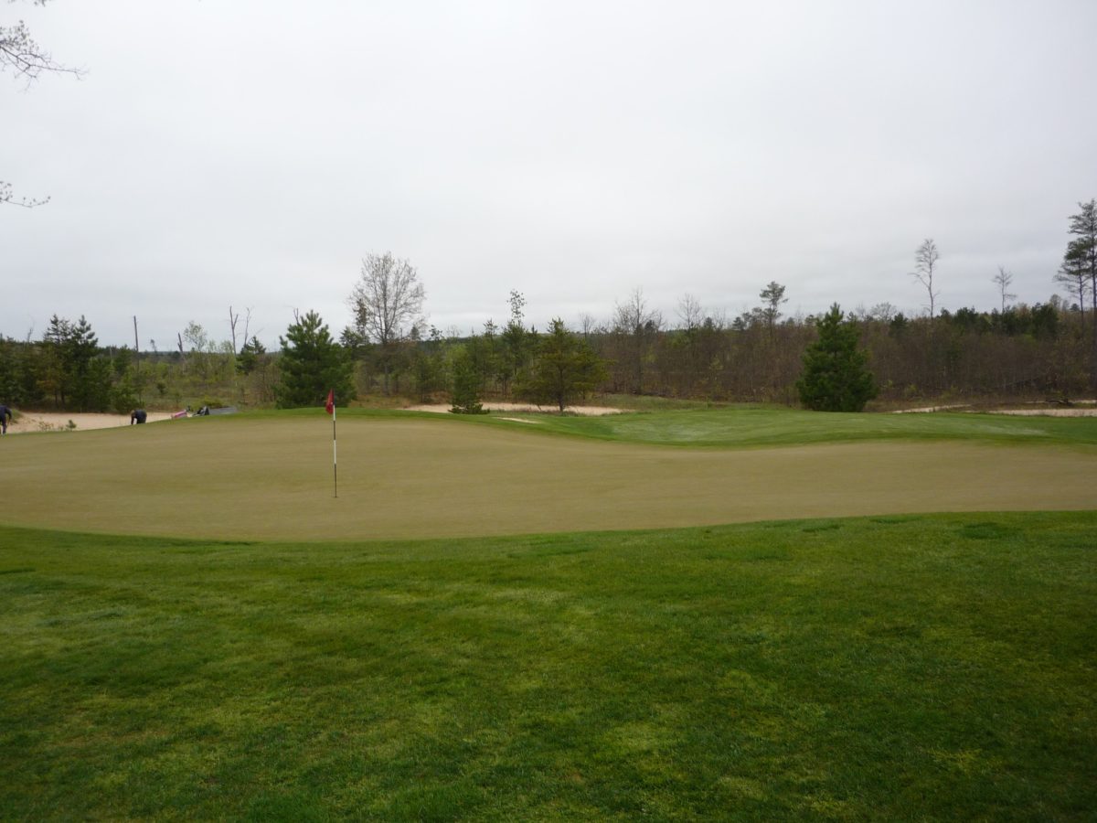 Forest Dunes Golf Club – Tiger Golf Traveler