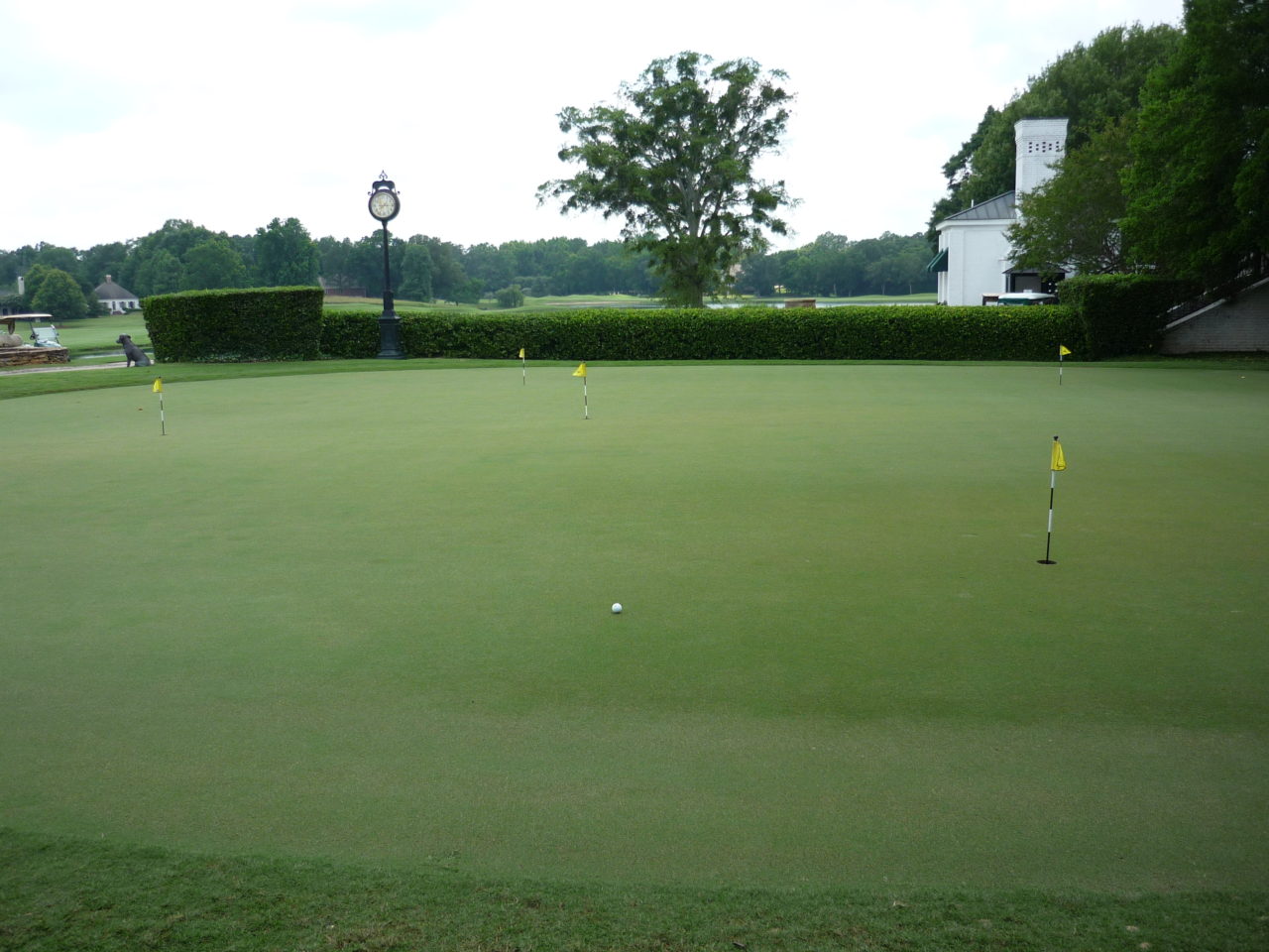 Old Waverly Golf Club – Tiger Golf Traveler