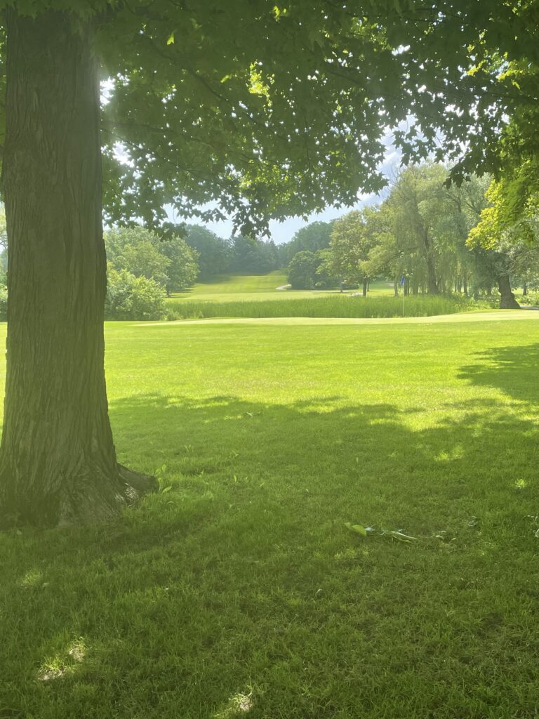 Brown Deer Park Golf Course – Tiger Golf Traveler
