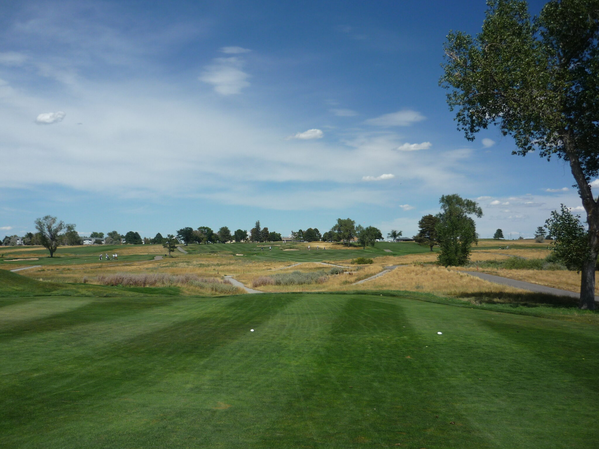 Tiger Golf Traveler – Prowling the US for great golf courses!